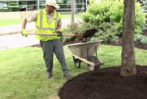 Public Disposal & Recycling - Gilton Solid Waste Management